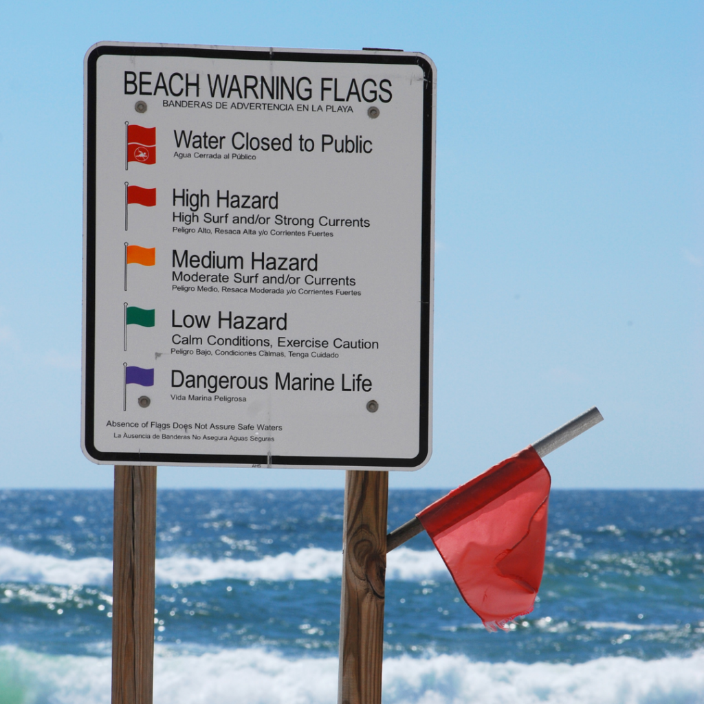 A Simple Guide for Beach Flags - Southern Royalty