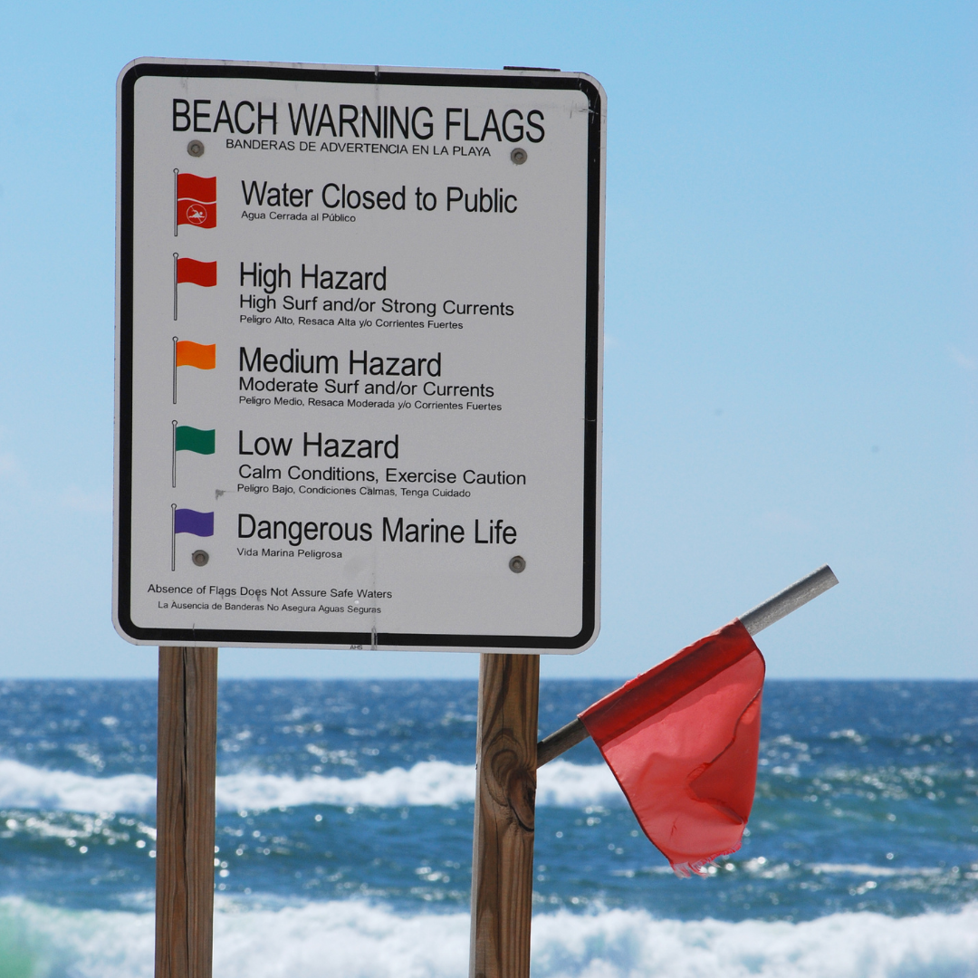 A Simple Guide for Beach Flags - Southern Royalty