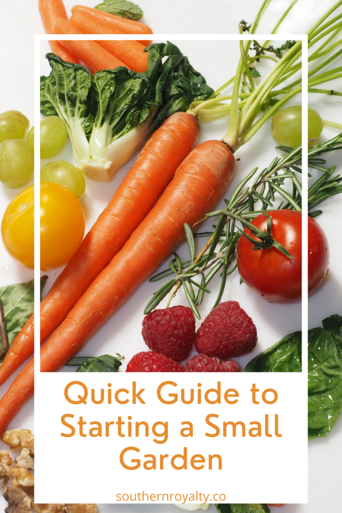 Quick Guide to Starting a Small Garden - Southern Royalty